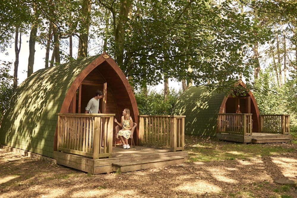 Pinewood Camping Pods - At Port Lympne Reserve $334